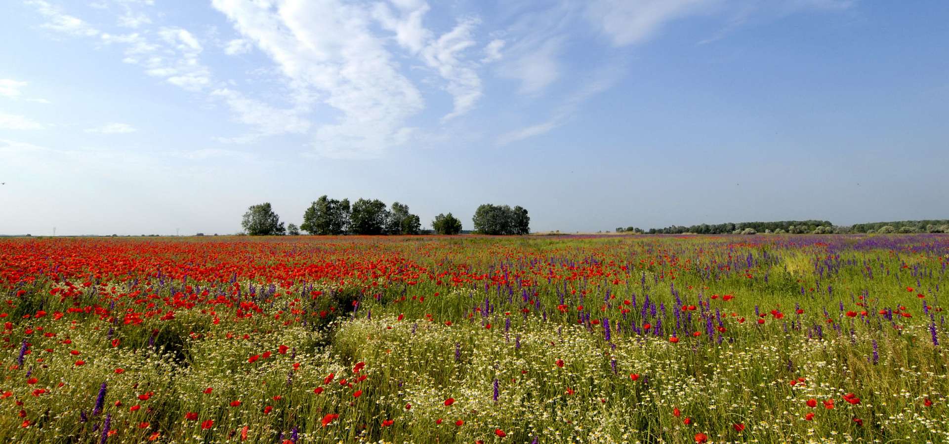 Ungarn Reisen: zu Gast auf Schlössern und Puszta-Höfen