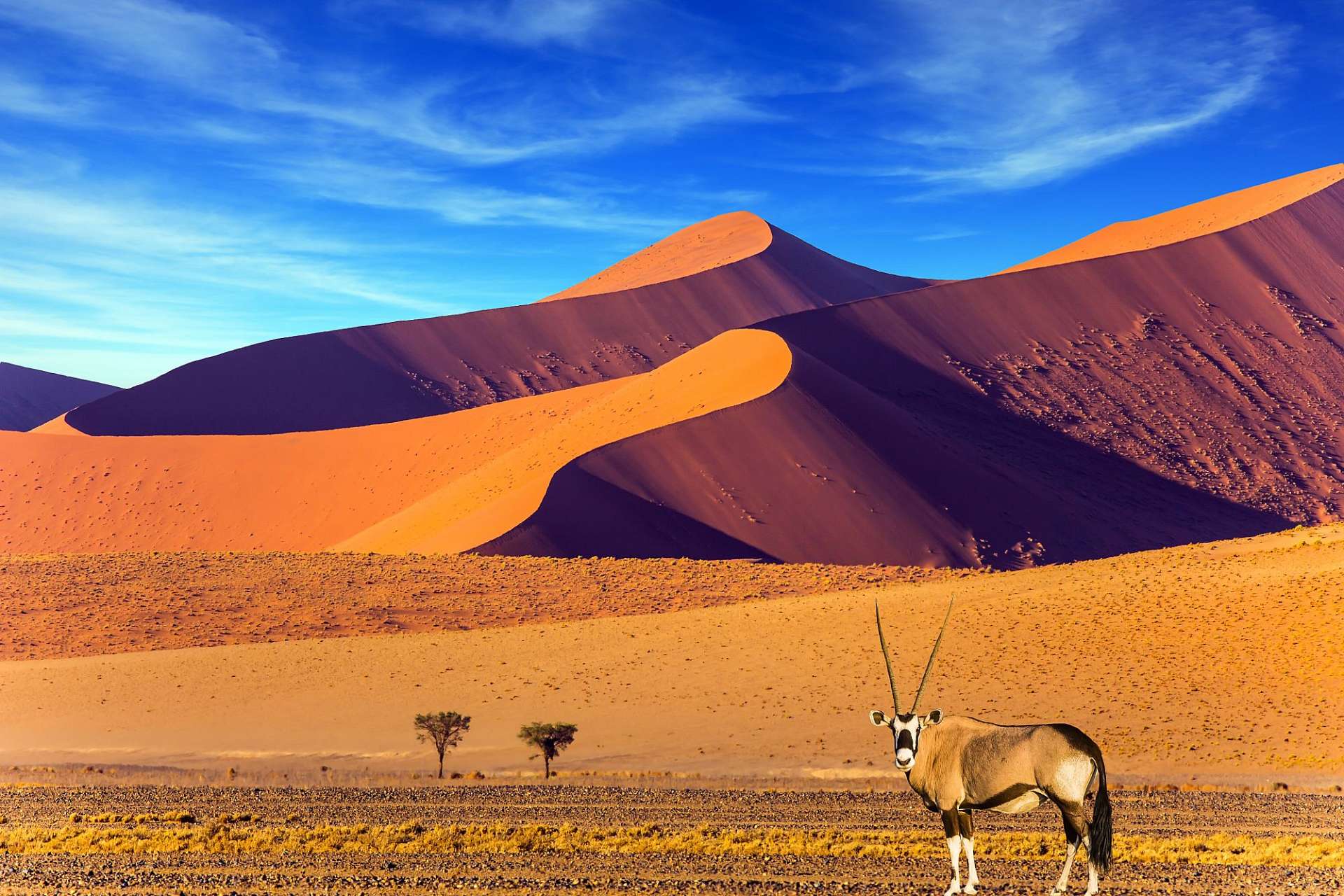 Namib: Älteste Wüste der Welt