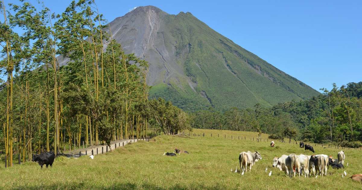 Costa Rica individuell erleben/Große Rundreise