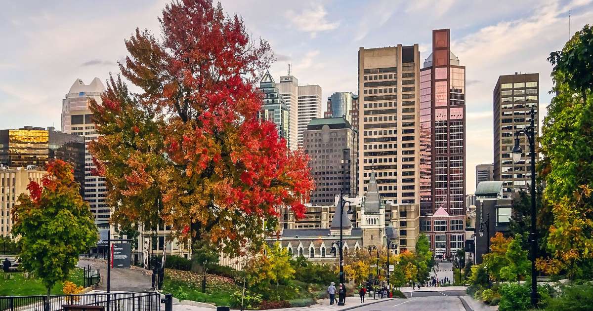 Montreal Rundreisen: frankophone Metropole am Sankt-Lorenz-Strom