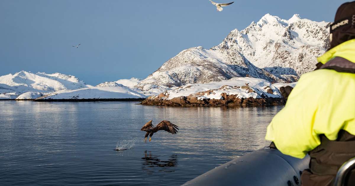 Arctic Norway: Barbara Harbecke unterwegs für Umfulana