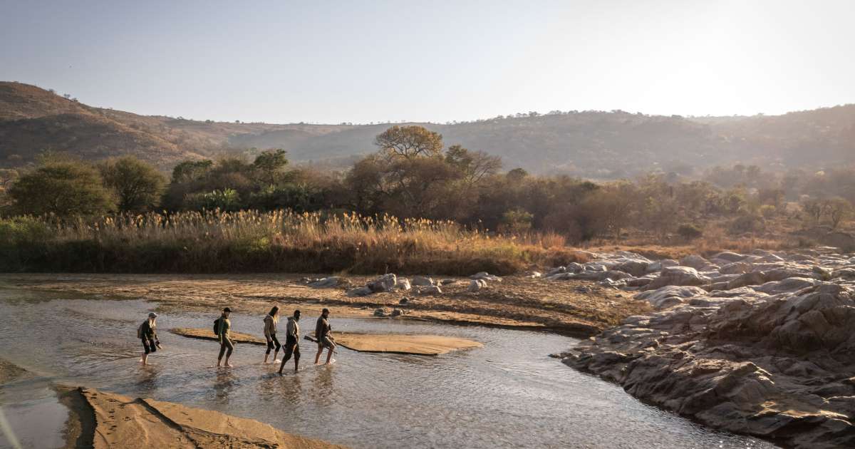 Walking Safari: Besonderes Safari-Erlebnis in Südafrika