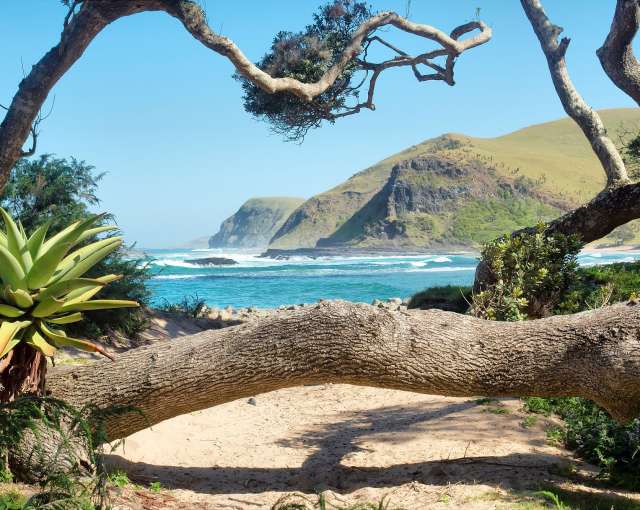 Umfulana | Reisen, die prägen.