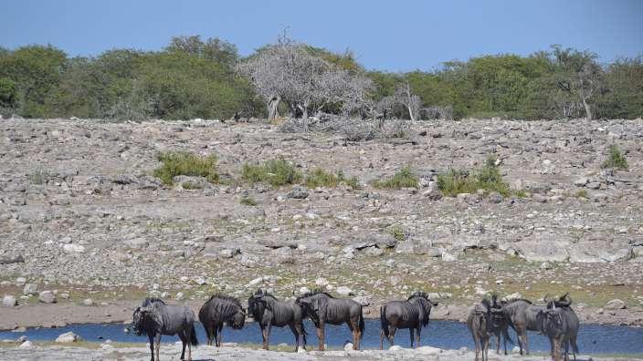 Namibia Rundreisen – Individuell geplant von Afrika Experten
